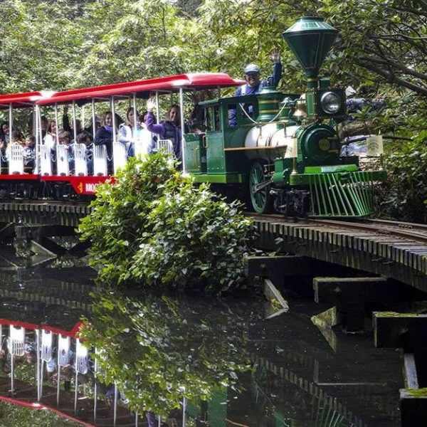Train in vain: how Stanley Park’s miniature railway stopped rolling ...